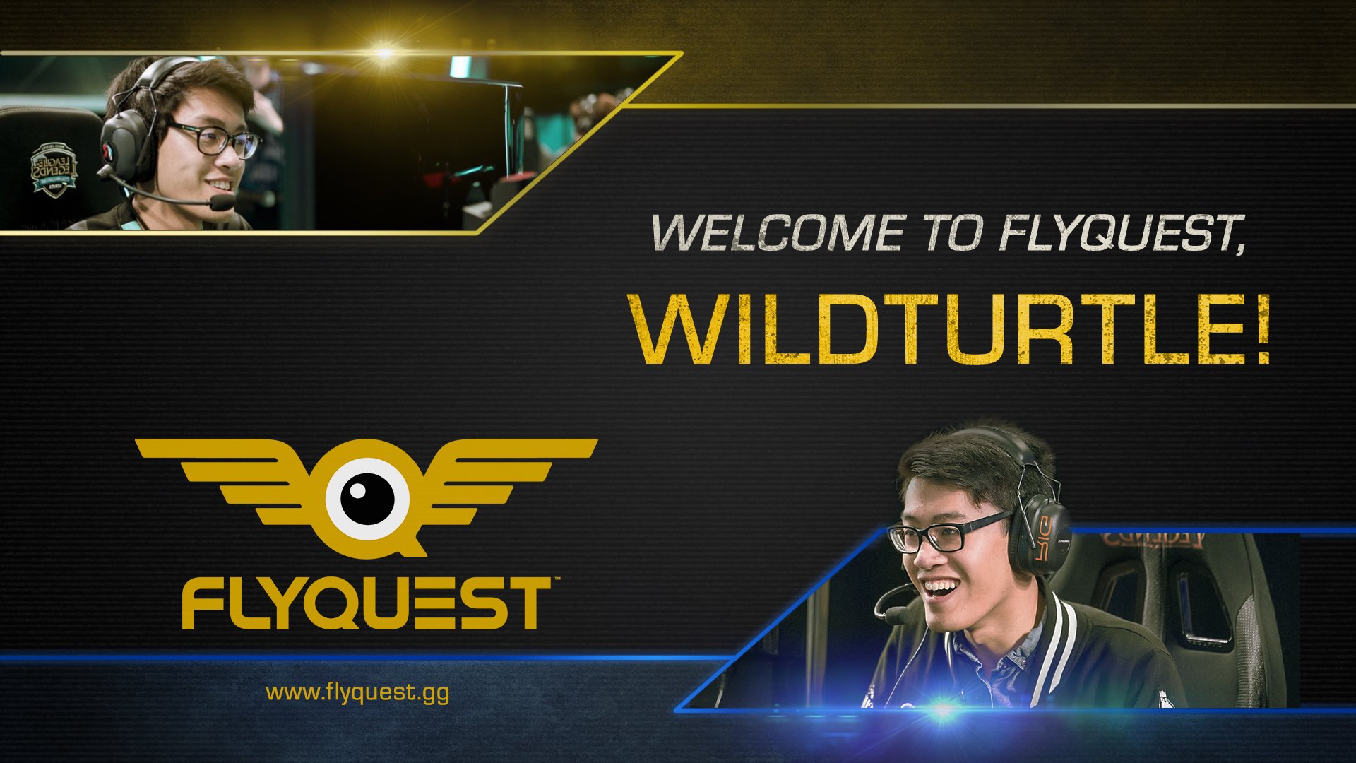 FlyQuest on Twitter: "Welcome aboard, WildTurtle! https://t.co/kOYdM3YcAk" / Twitter