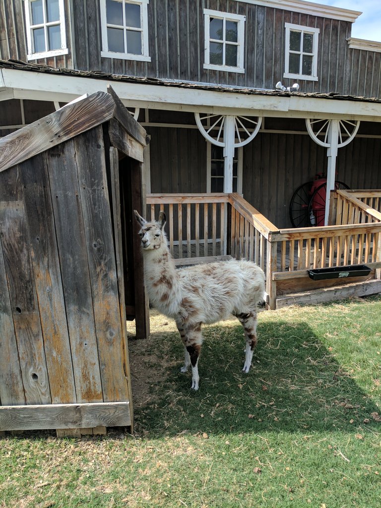 Simar Kalra (@__simar__) | Twitter