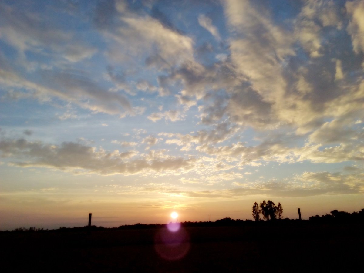 Md Modasser Rahman (@modasserrahman1) | Twitter