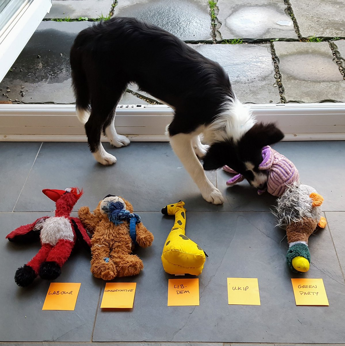 Tim Ayers (@timayers81) | Twitter