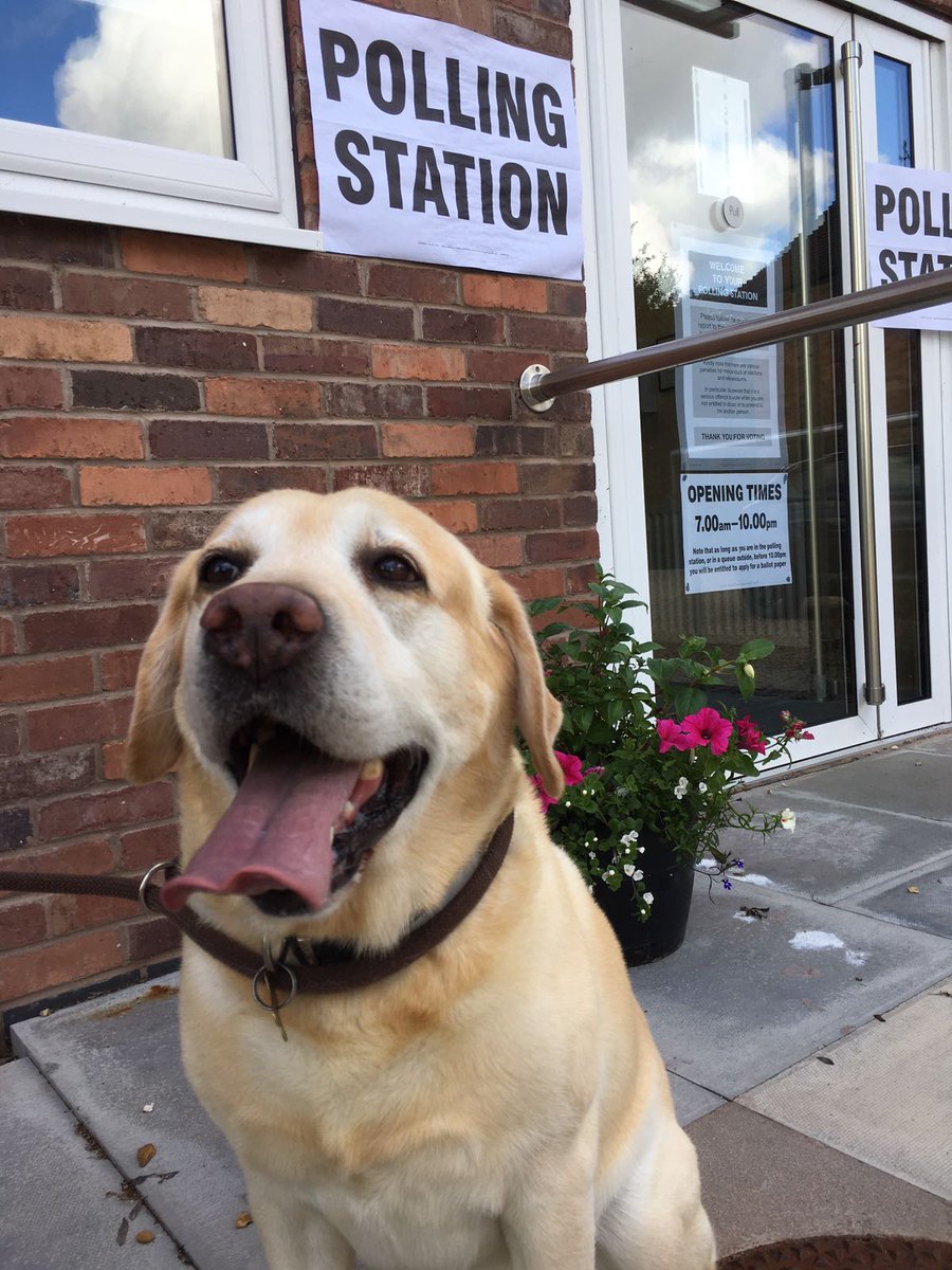 Stuart Gough (@stuart_stuart) | Twitter