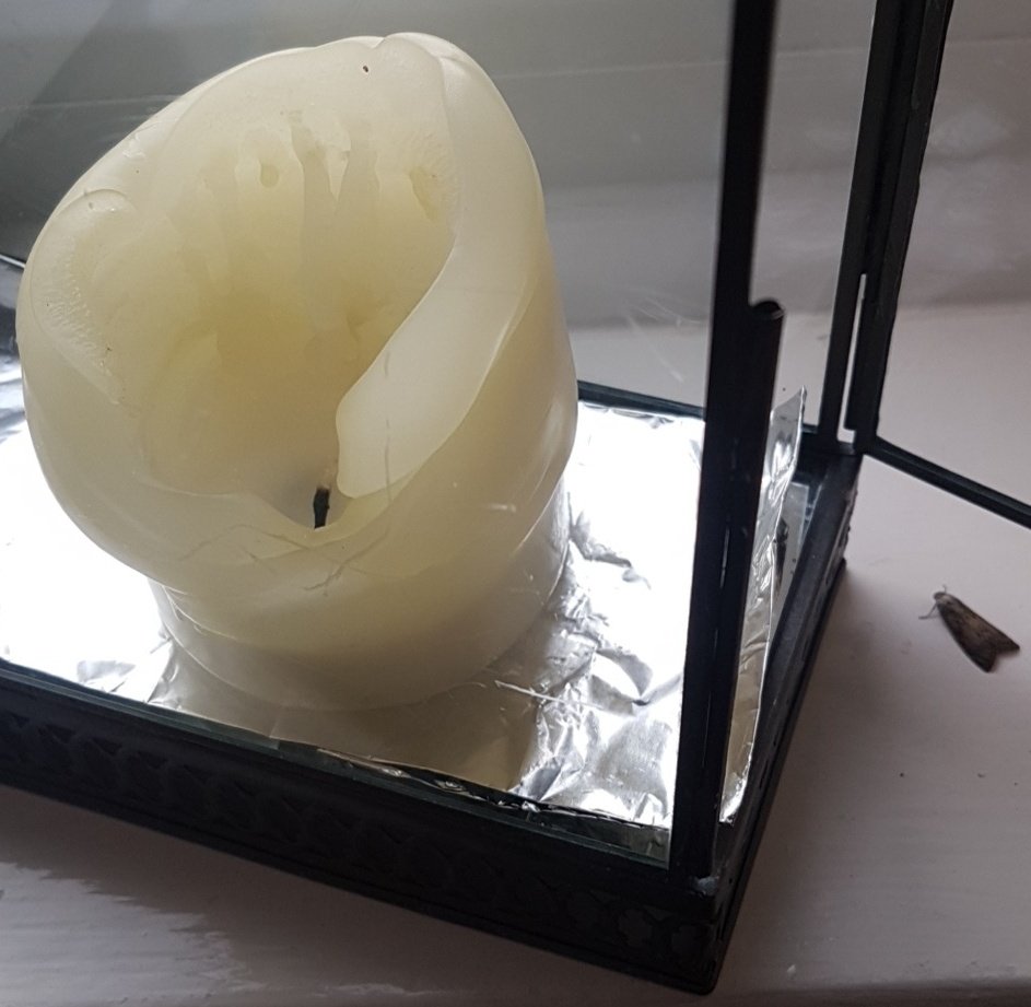 tim brown (@mightyfoo) | Twitter