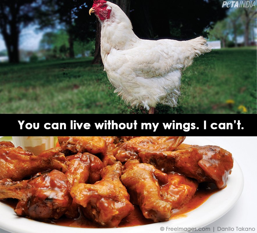 Funny Chicken Wing Memes The Best Wing Ever. : R/meme