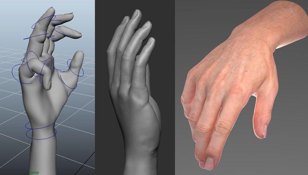 Hand Reference For 3d Modeling