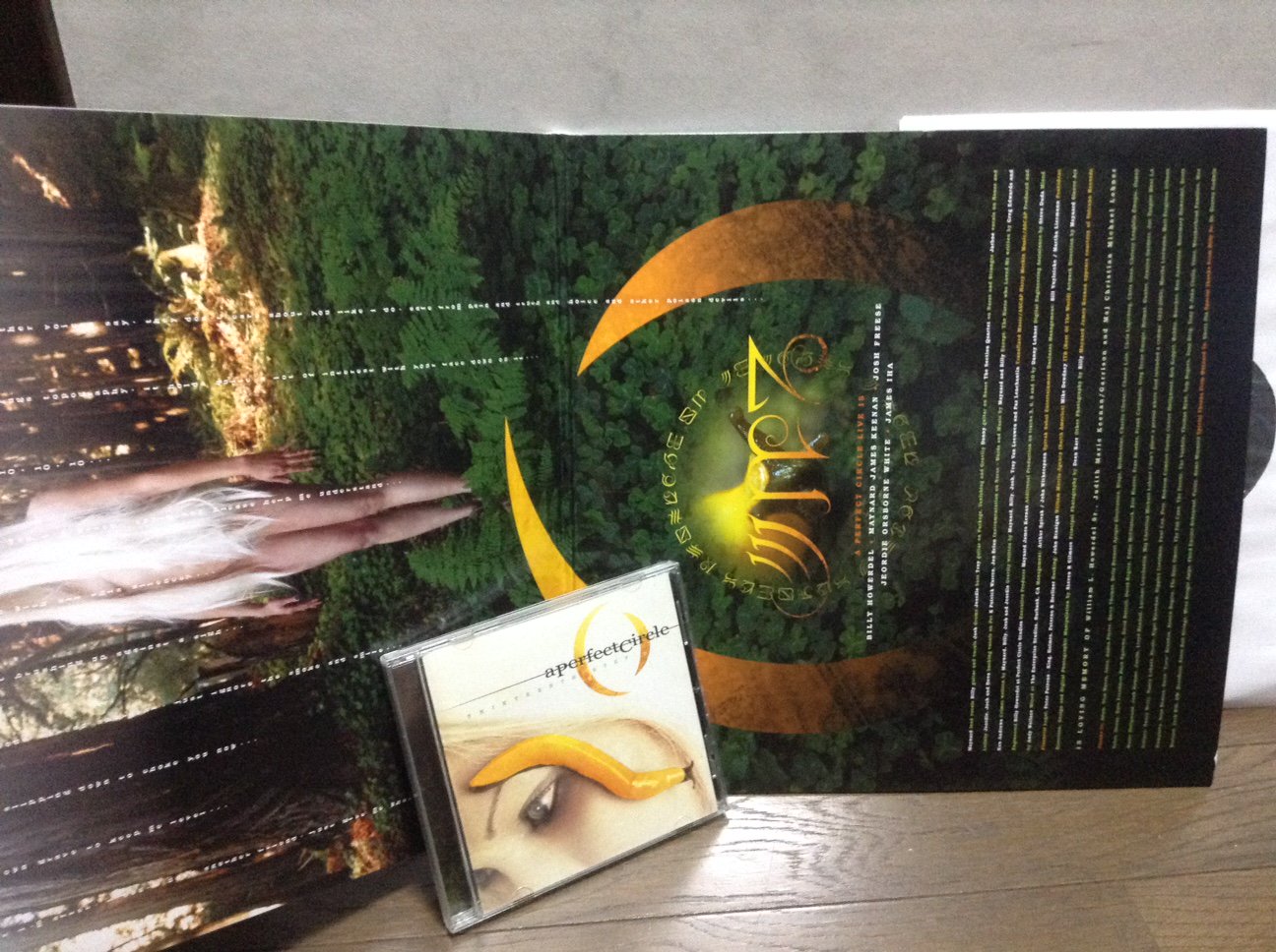 A Perfect Circle Thirteenth Step Live