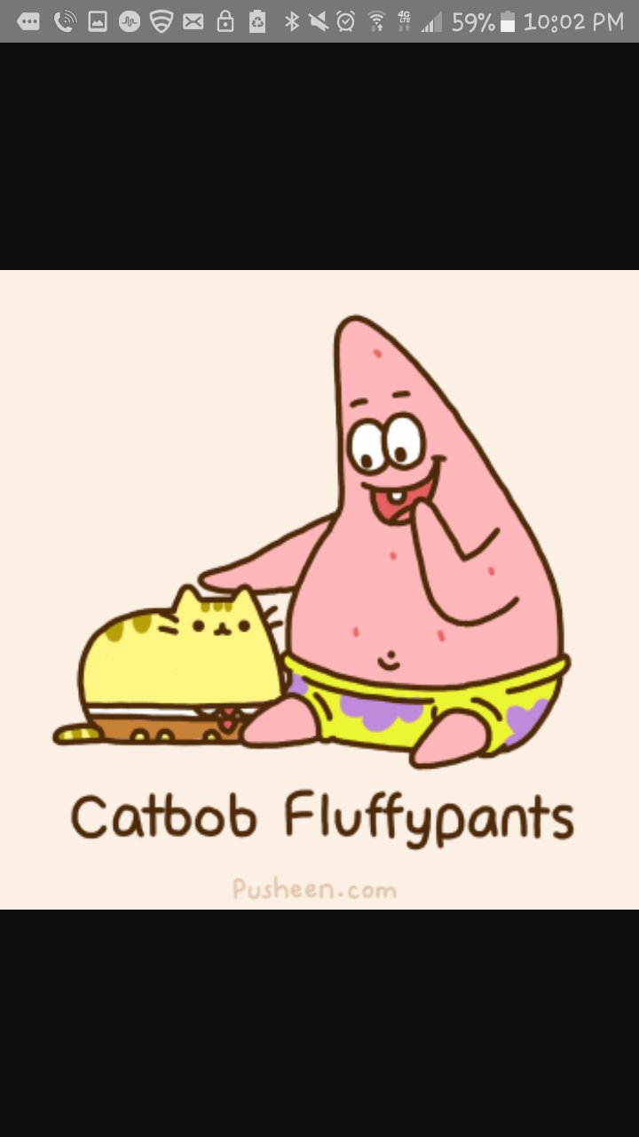 Pusheen Spongebob