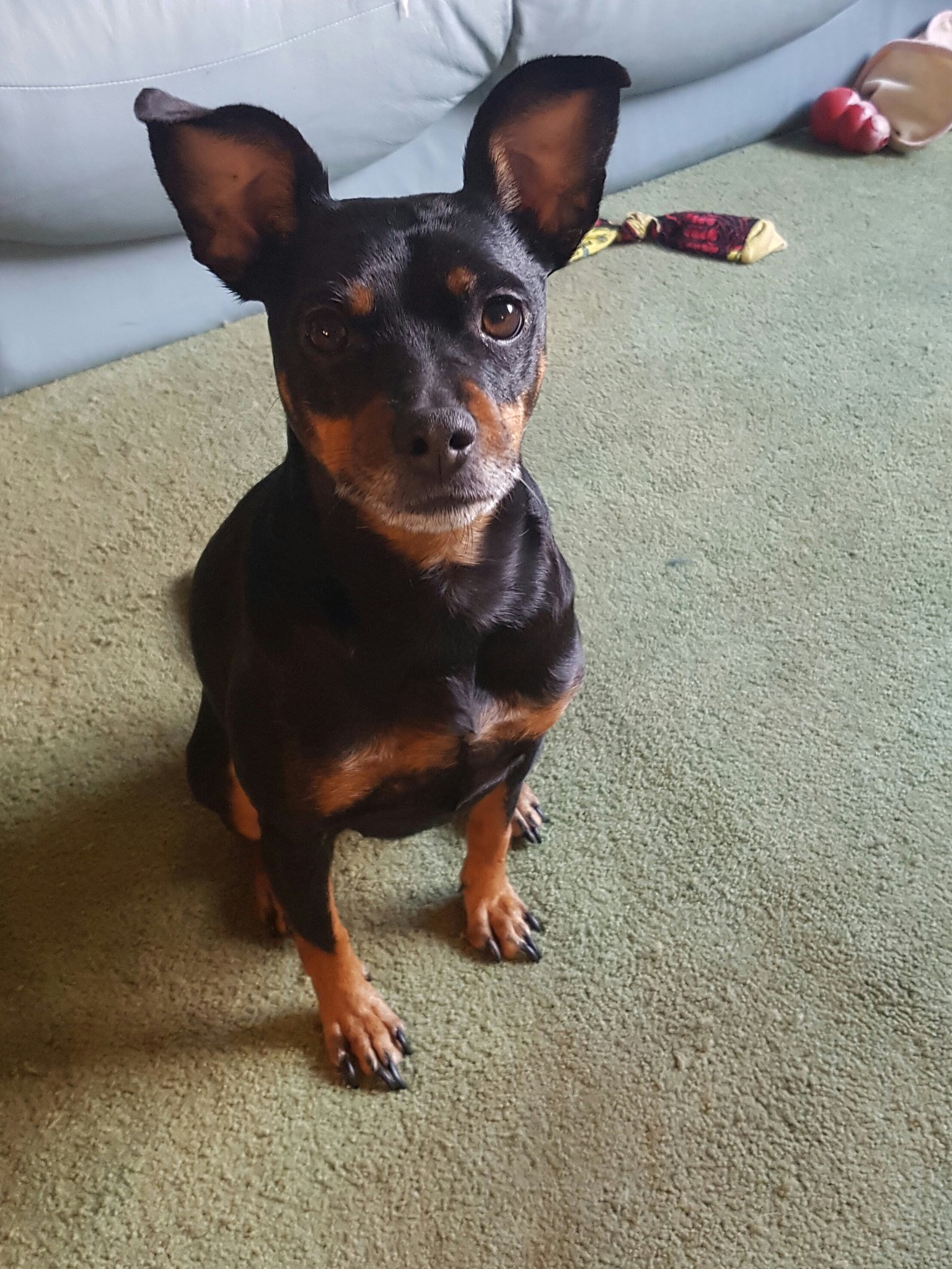 TW Pornstars - Catherine Duck BSc MBPsS. Twitter. #TomHardy #woody # ...