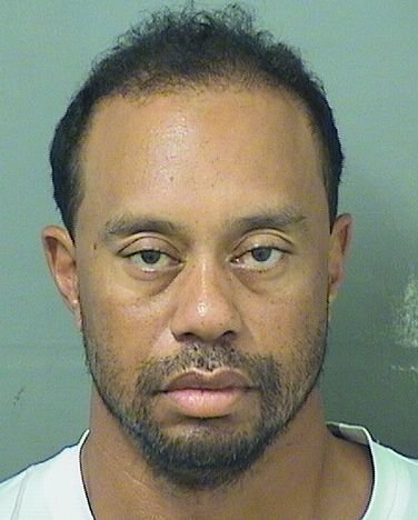 Tiger Woods Arrested On Suspicion Of Dui Http Bit Ly 2quixbw Http