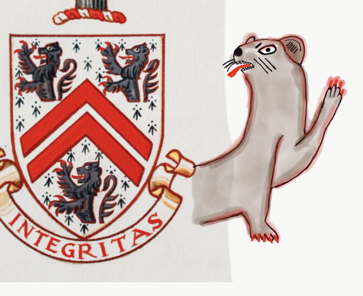 Early study of a heraldic weasel for true trump family coat of arms ...