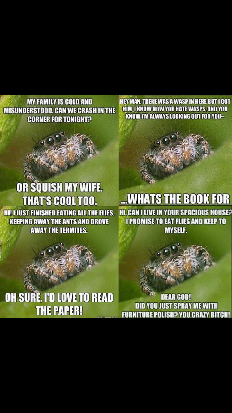 Misunderstood Spider Meme
