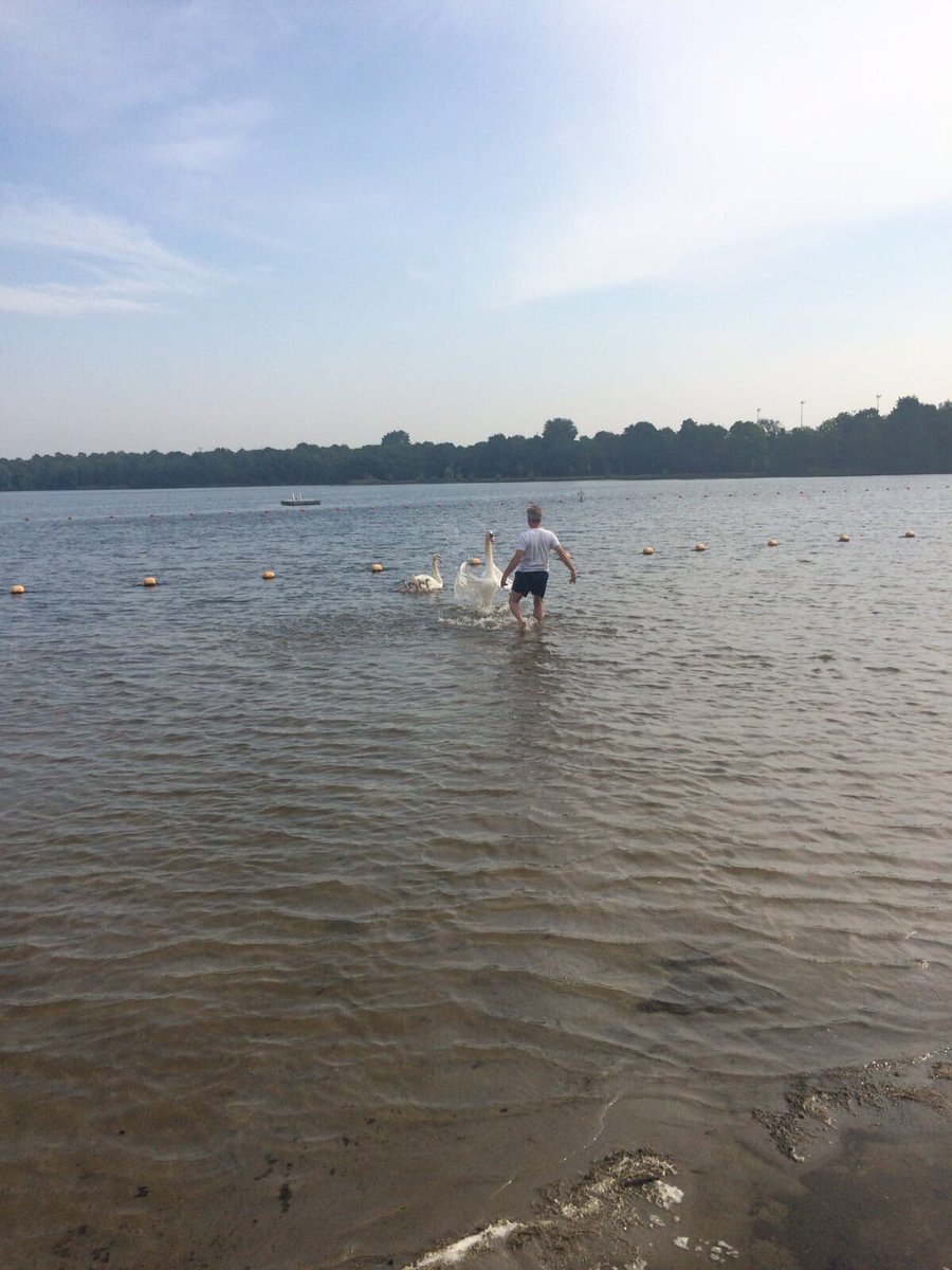 Mieke Van Der Sanden (@MiekeSanden) | Twitter