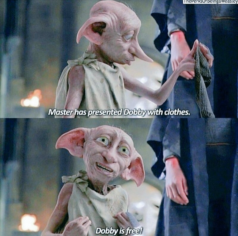 Memes Dobby Es Libre