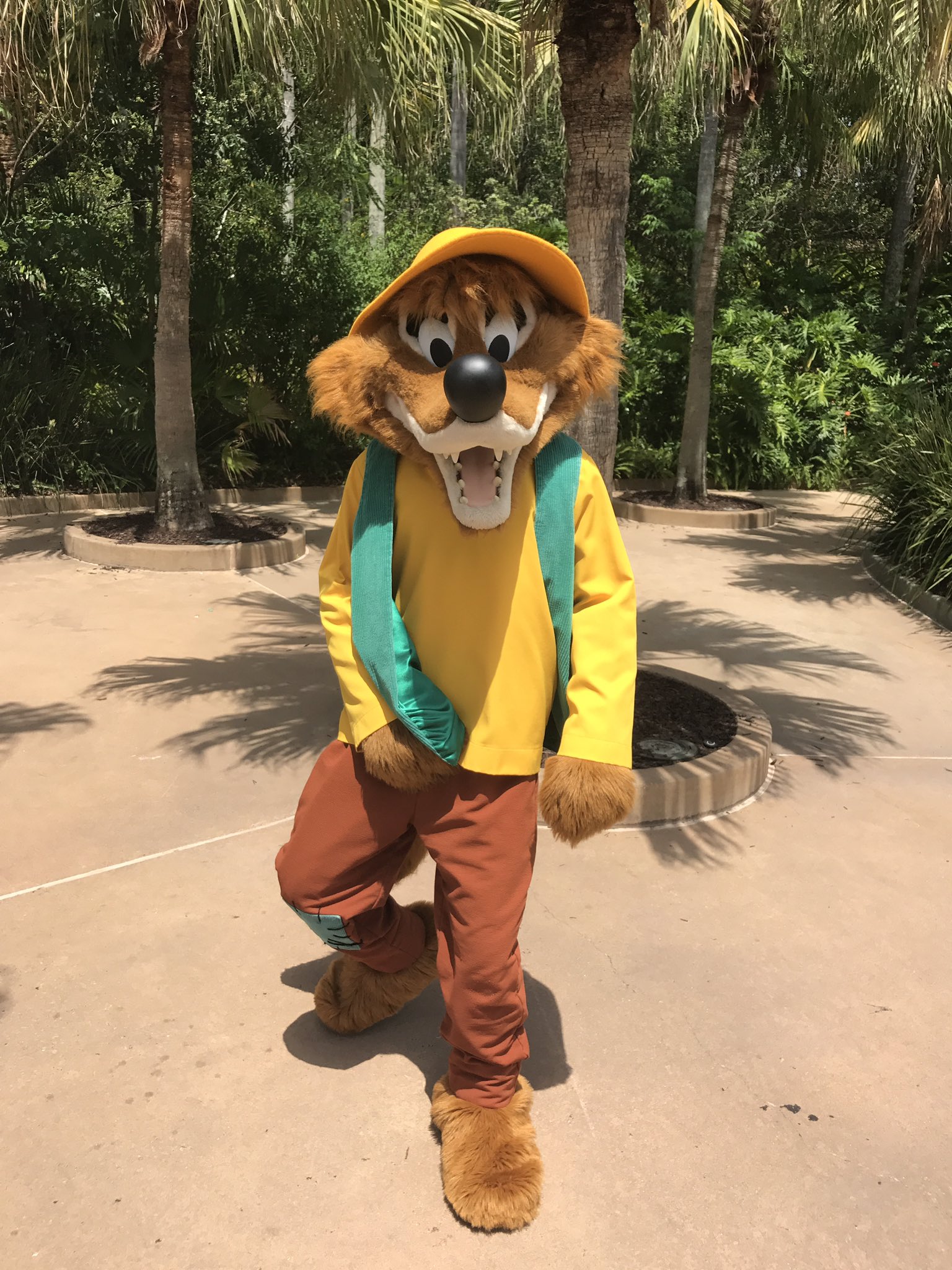 Brer Fox Disneyland