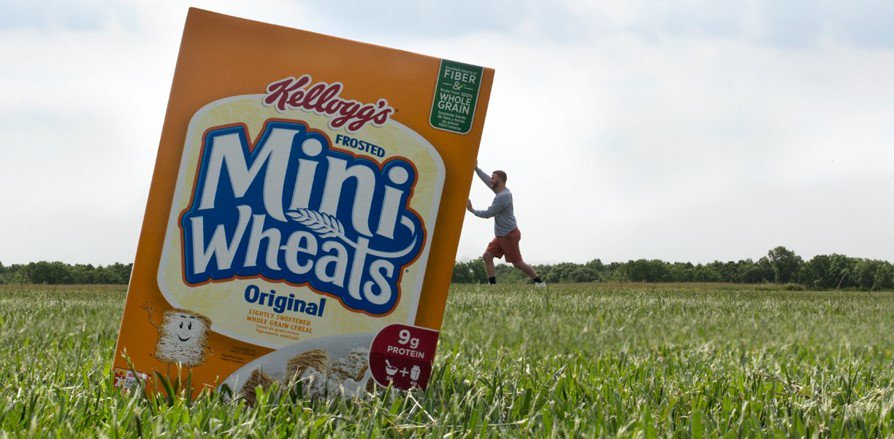 Mini Wheats Logo
