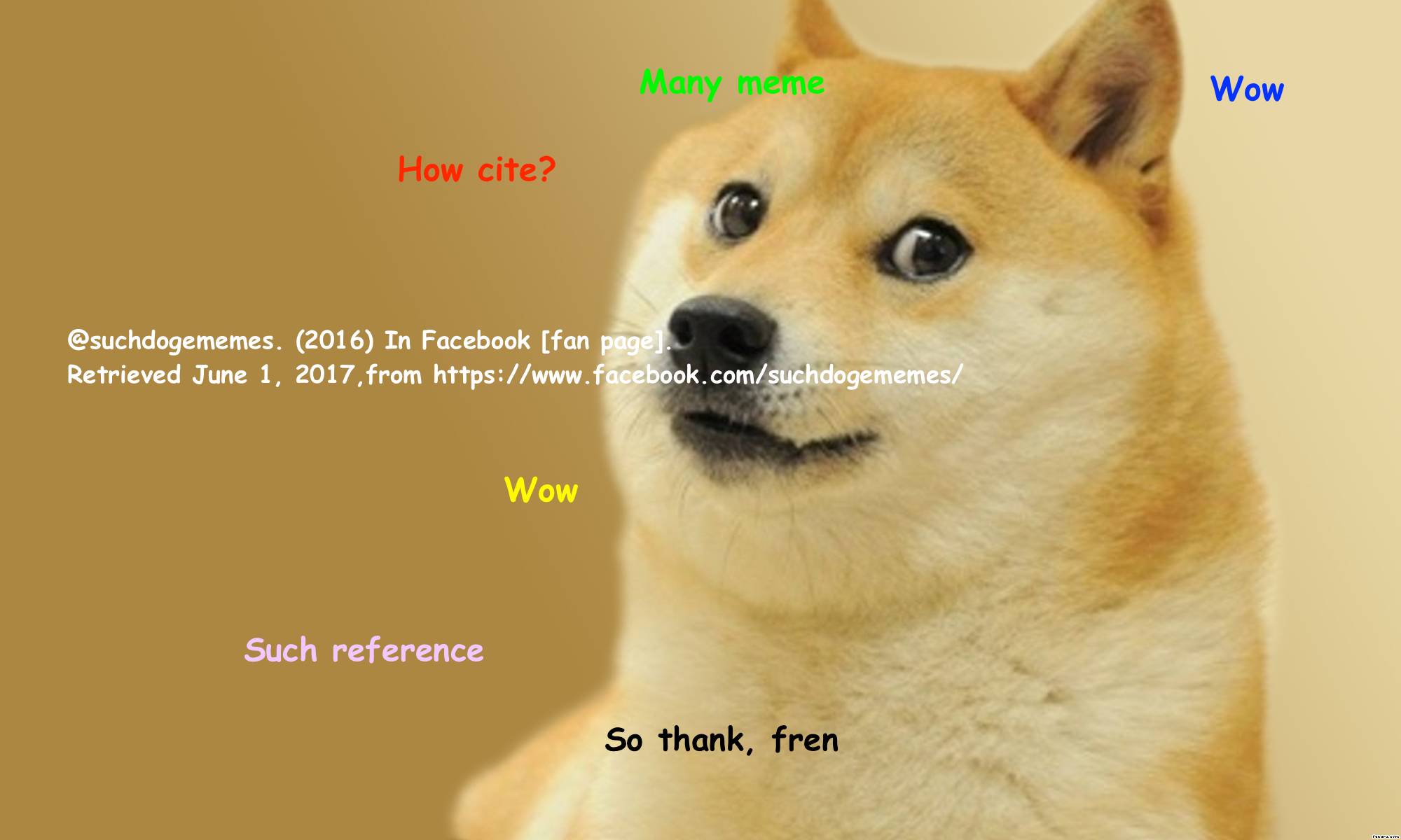 Such Wow Doge Meme