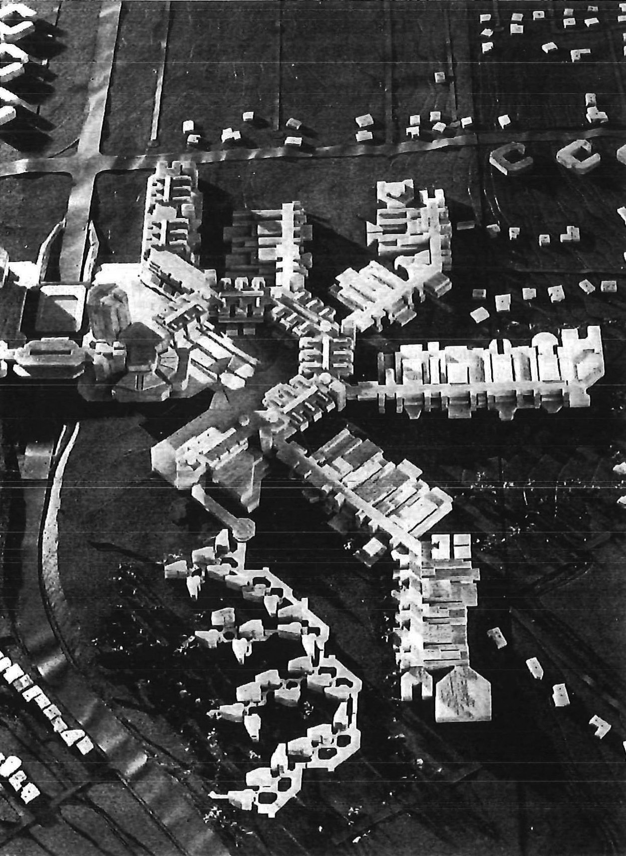 Rand Afrikaans University Logo Rand View College