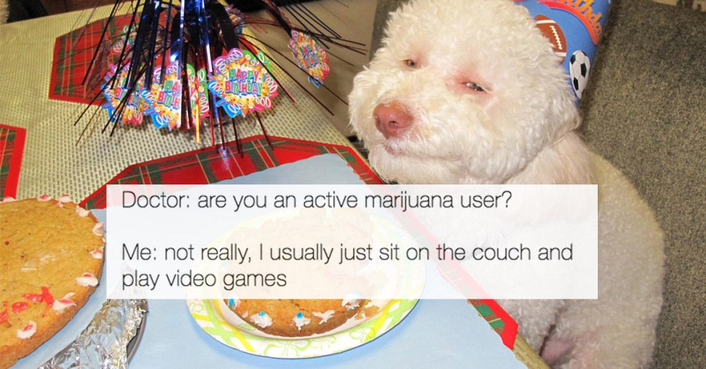 Funny Weed Jokes With Animals