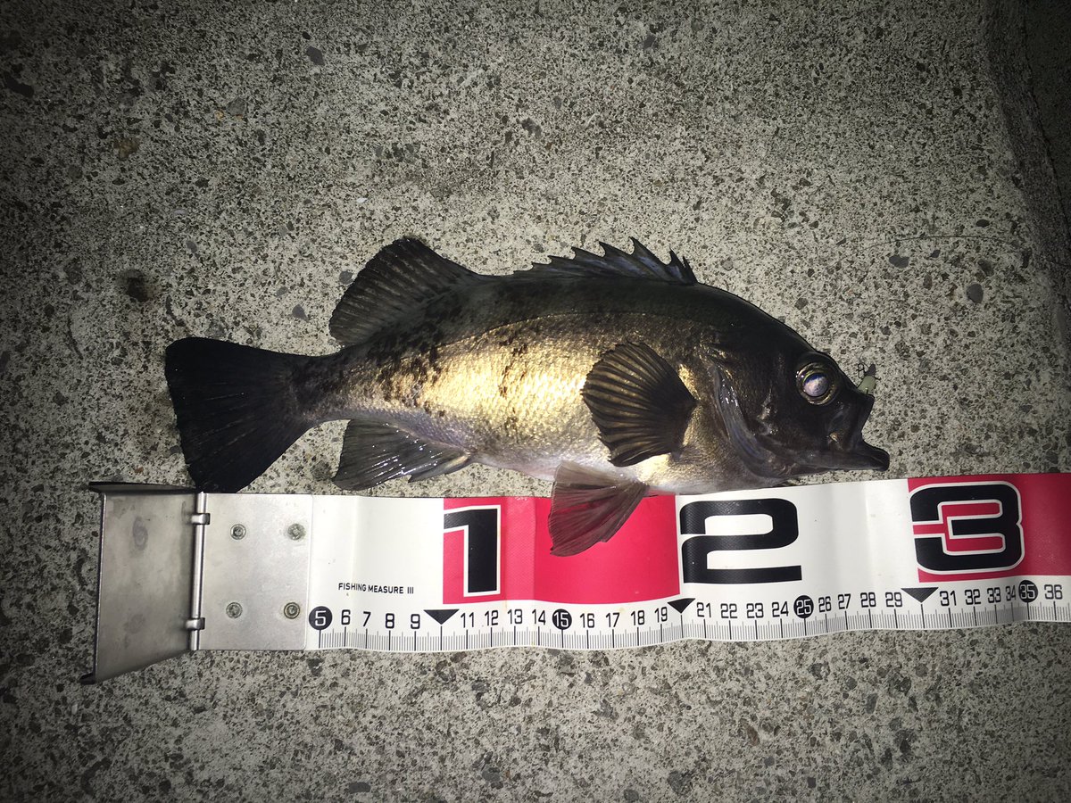 MR.MR (@lazy_ryuchan) | Twitter