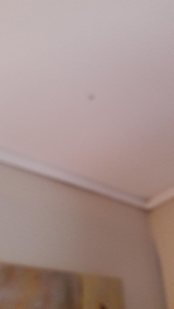 Torstein scheflo (@SchefloTorstein) | Twitter