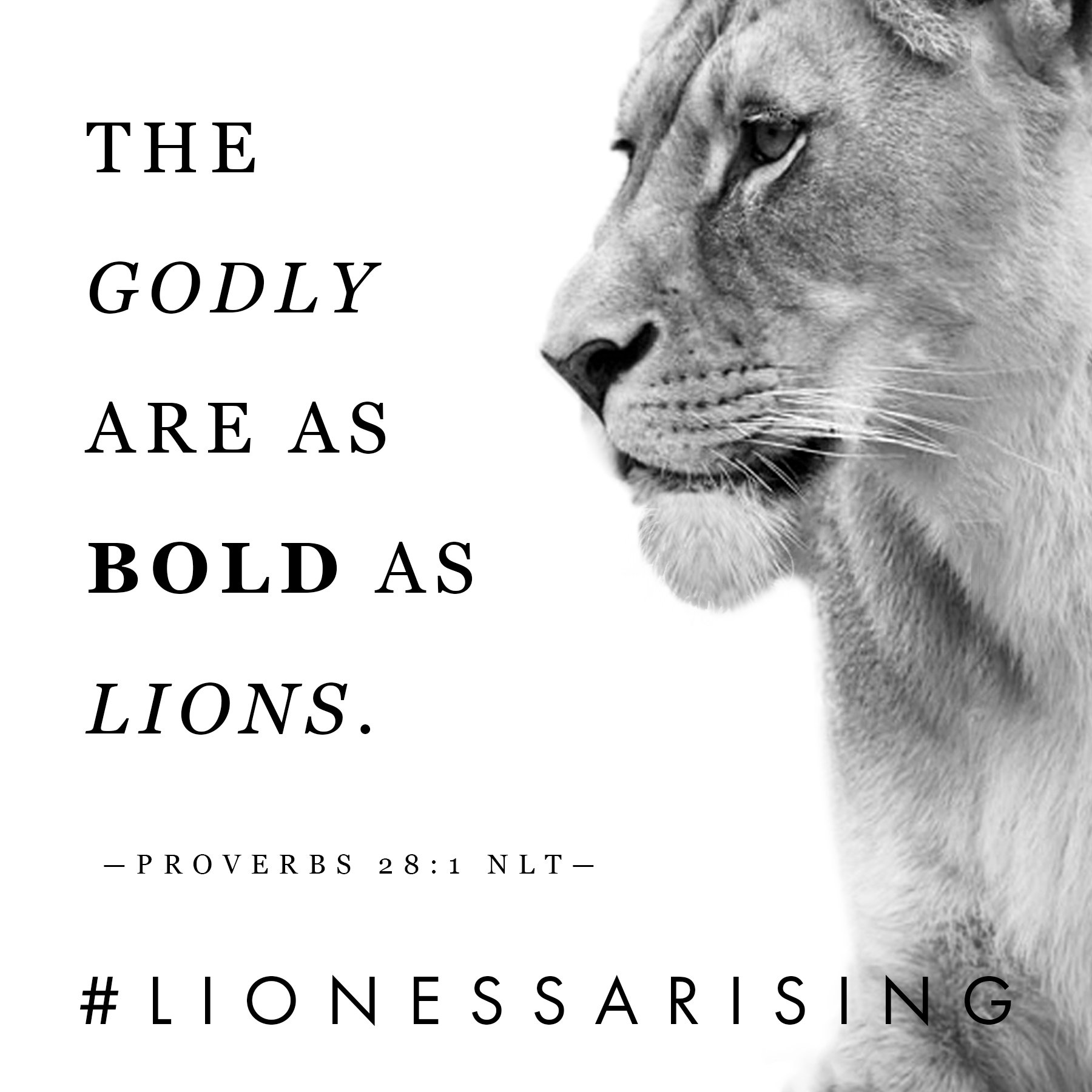Fearless Lioness Quotes 180+ Inspiring Lion Quotes To Motivate And