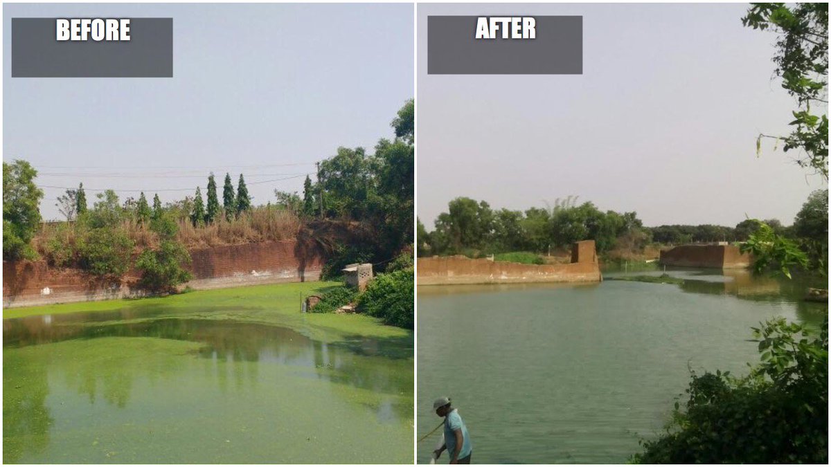 Bioremediation Before And After