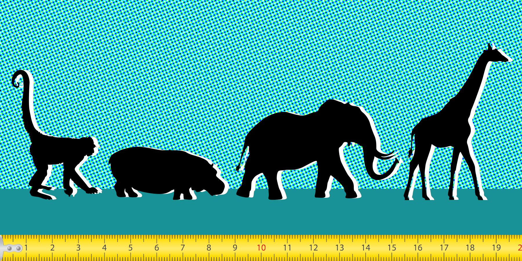 Contently on Twitter: "This zoo-themed #infographic will teach you the ...