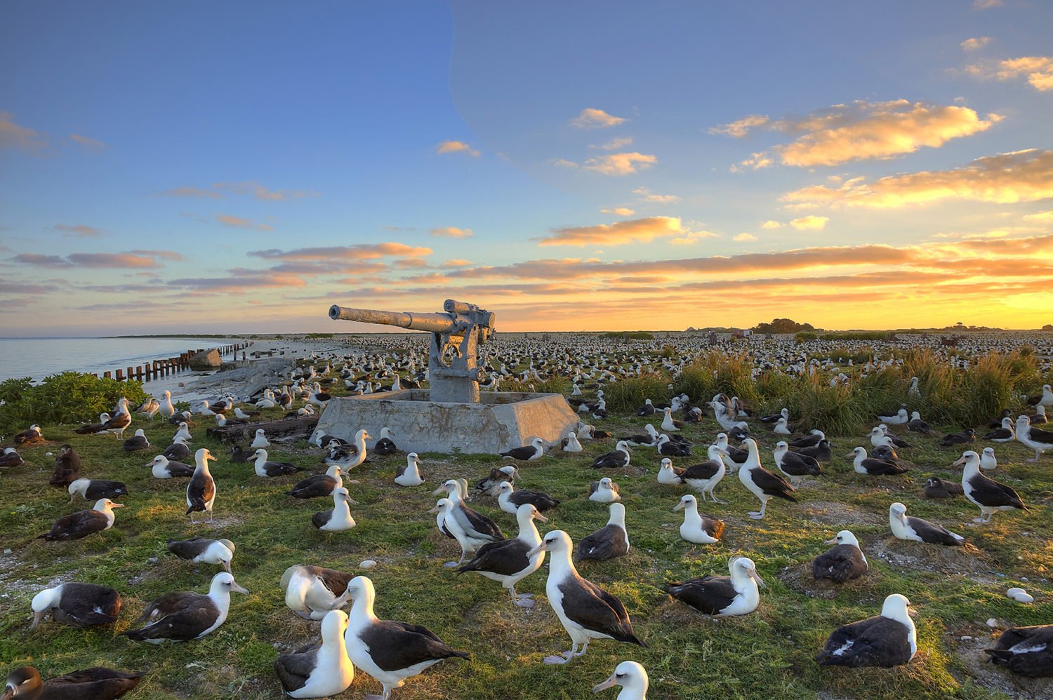 Midway Atoll 1942