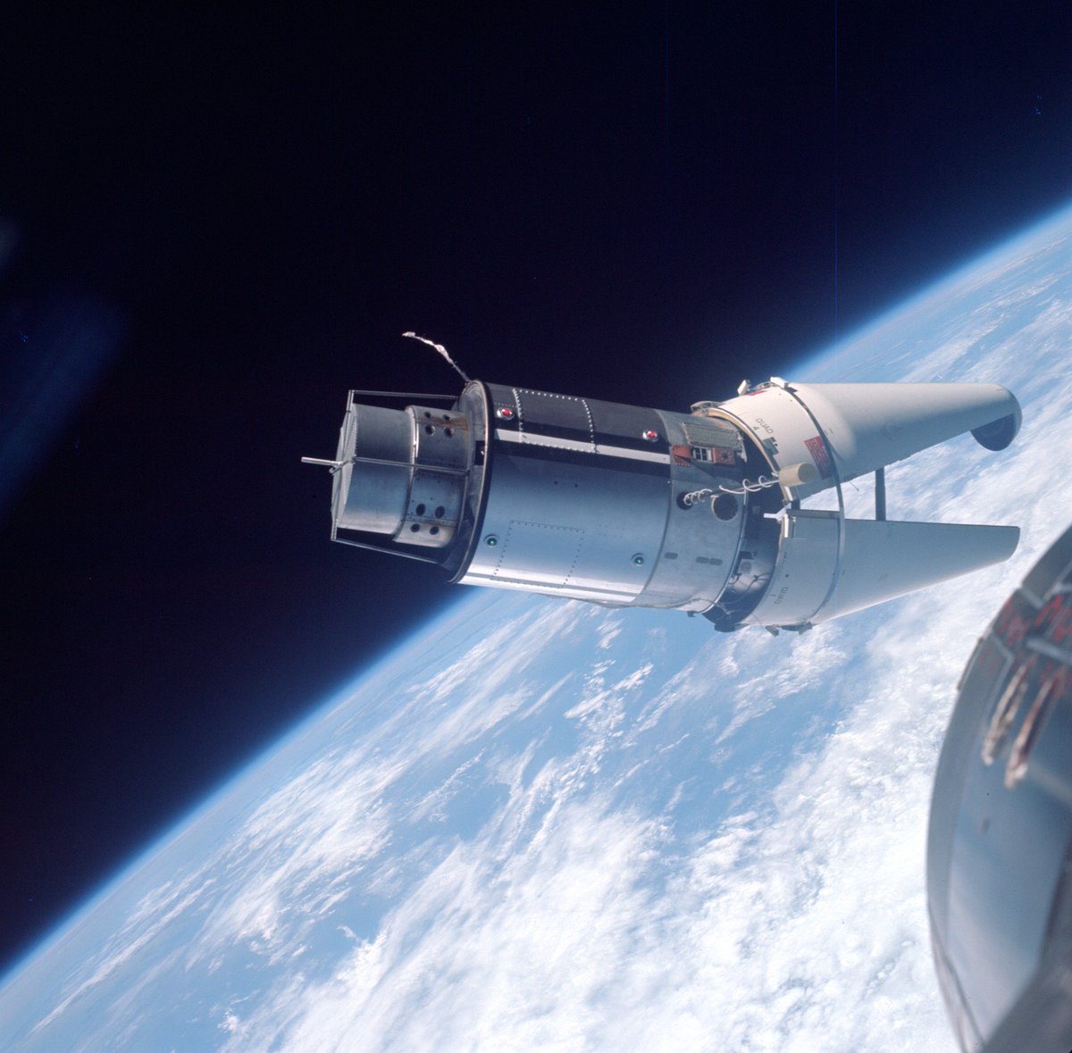 Nasa Angry Alligator