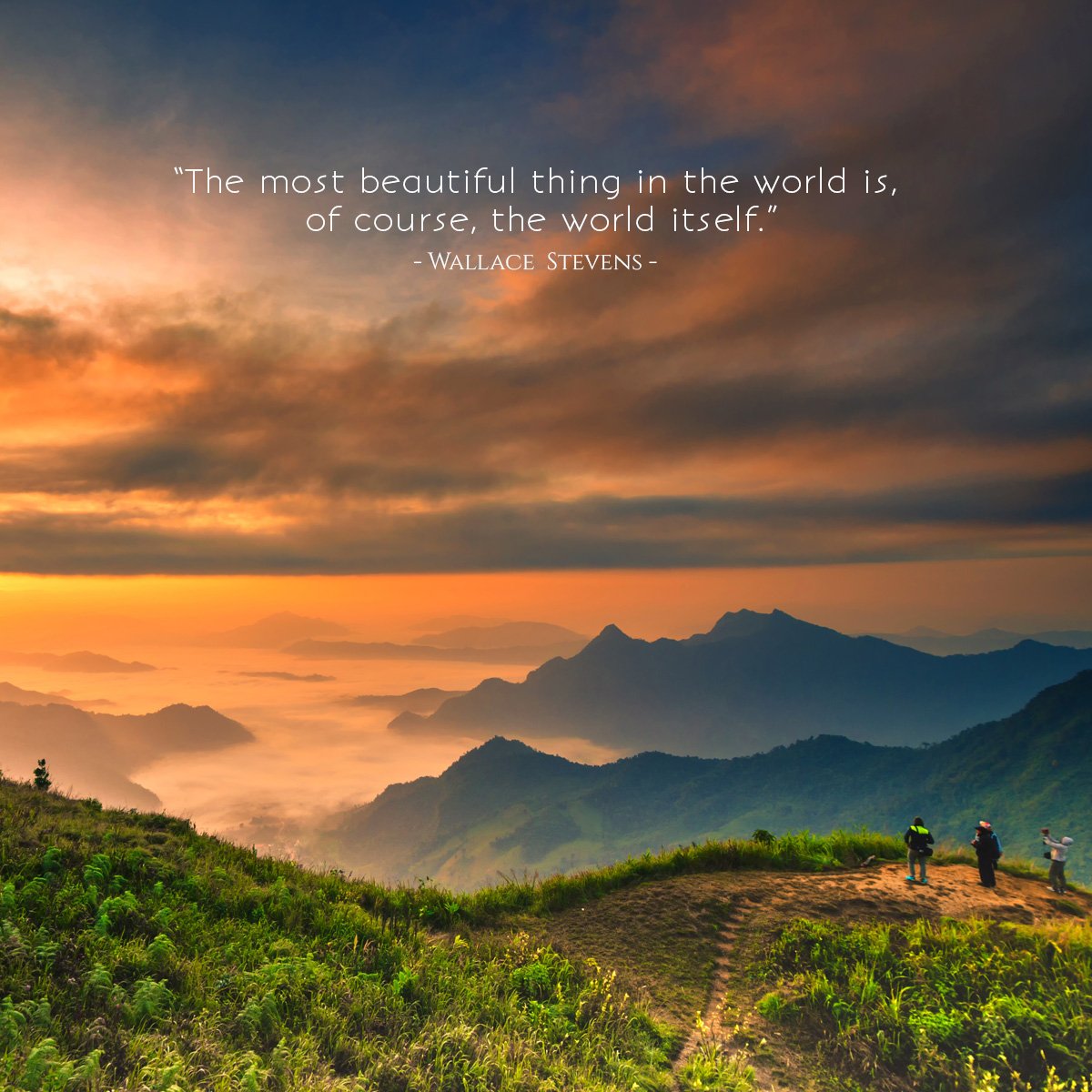 Most Beautiful Thing In The World