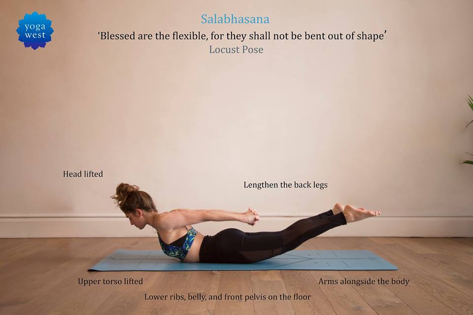 Locust Yoga Pose