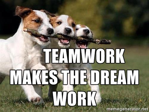 Team Work Dog Meme