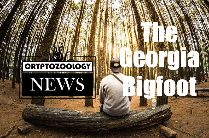 Cryptozoology on Twitter: "Real or Hoax? The ‘Georgia Bigfoot Footage ...