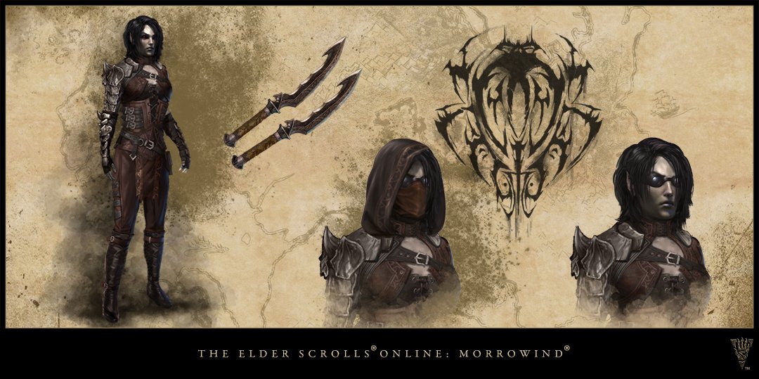 Elder Scrolls Online Assassin