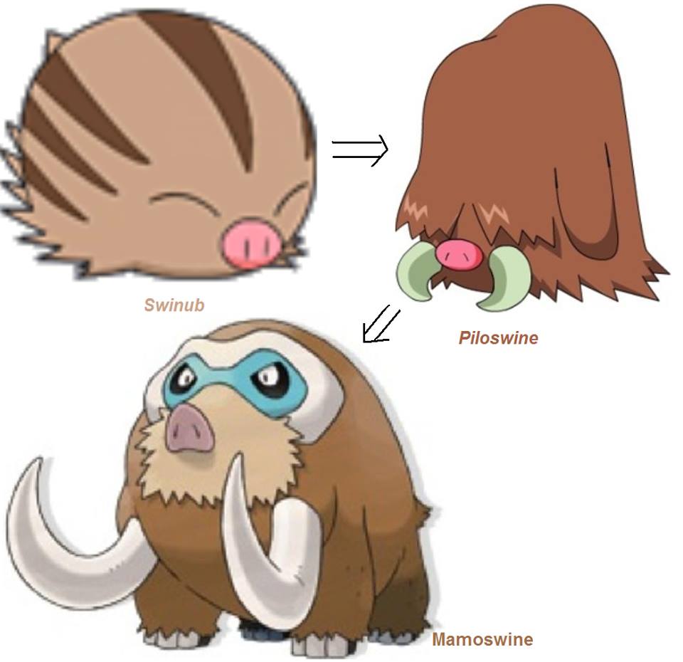 Piloswine Evolution