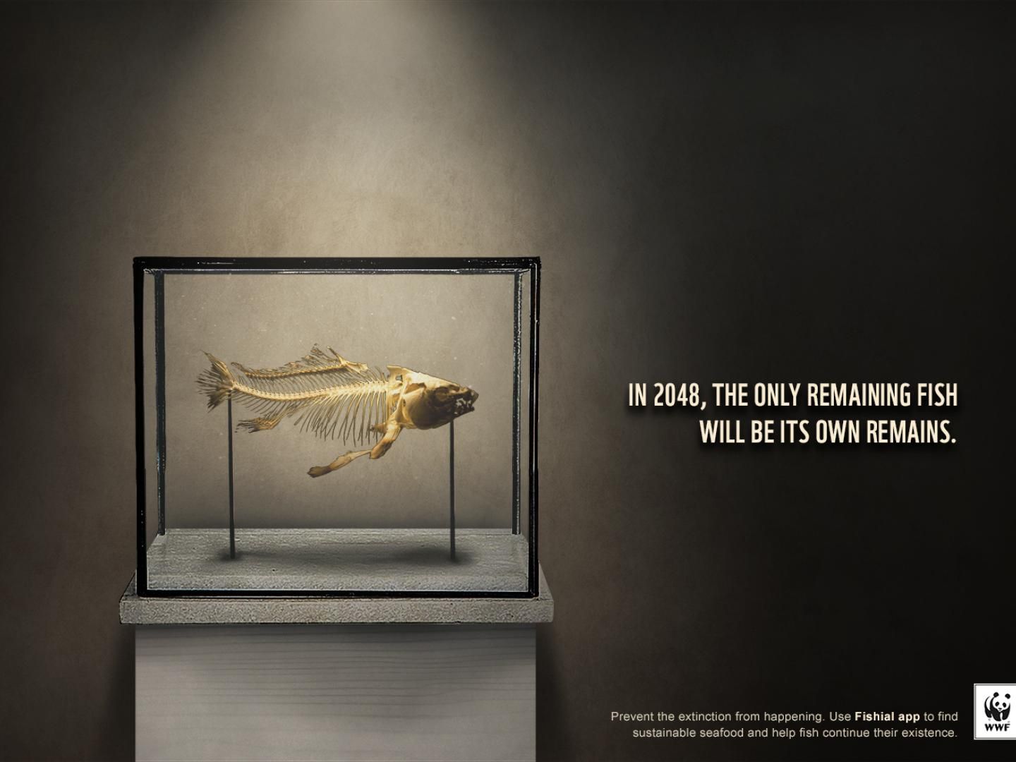 Wwf Ads With Words
