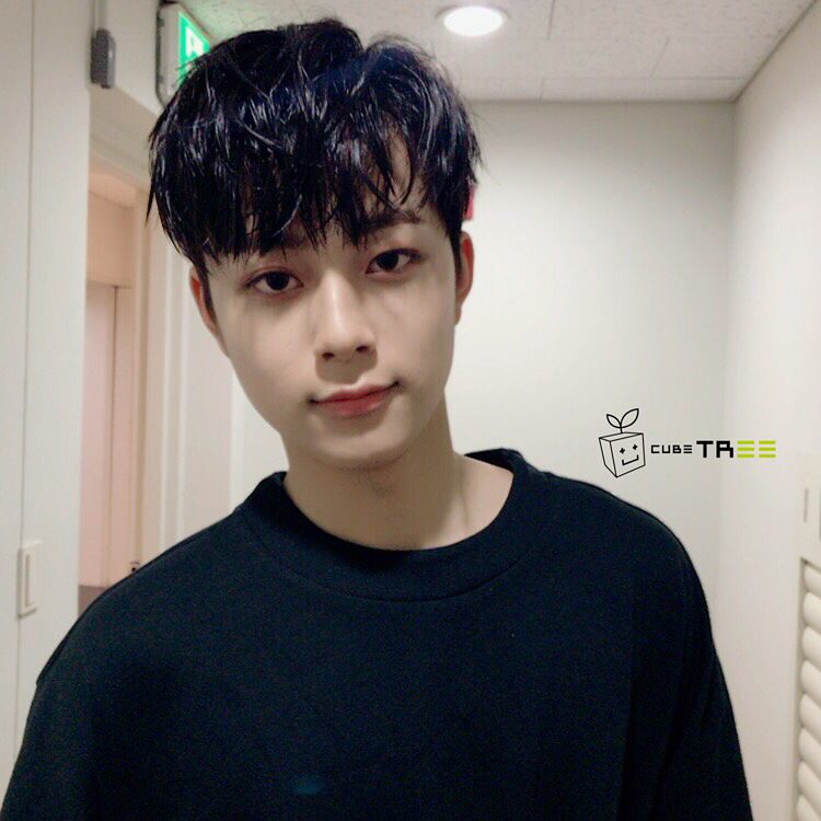 Fang Khow (@FangKhow6) | Twitter