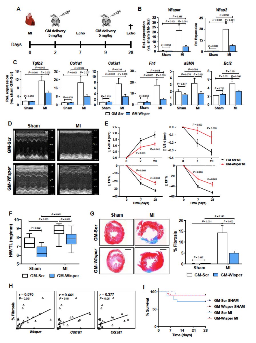 Daniel Maric (@Dan_Maric) | Twitter