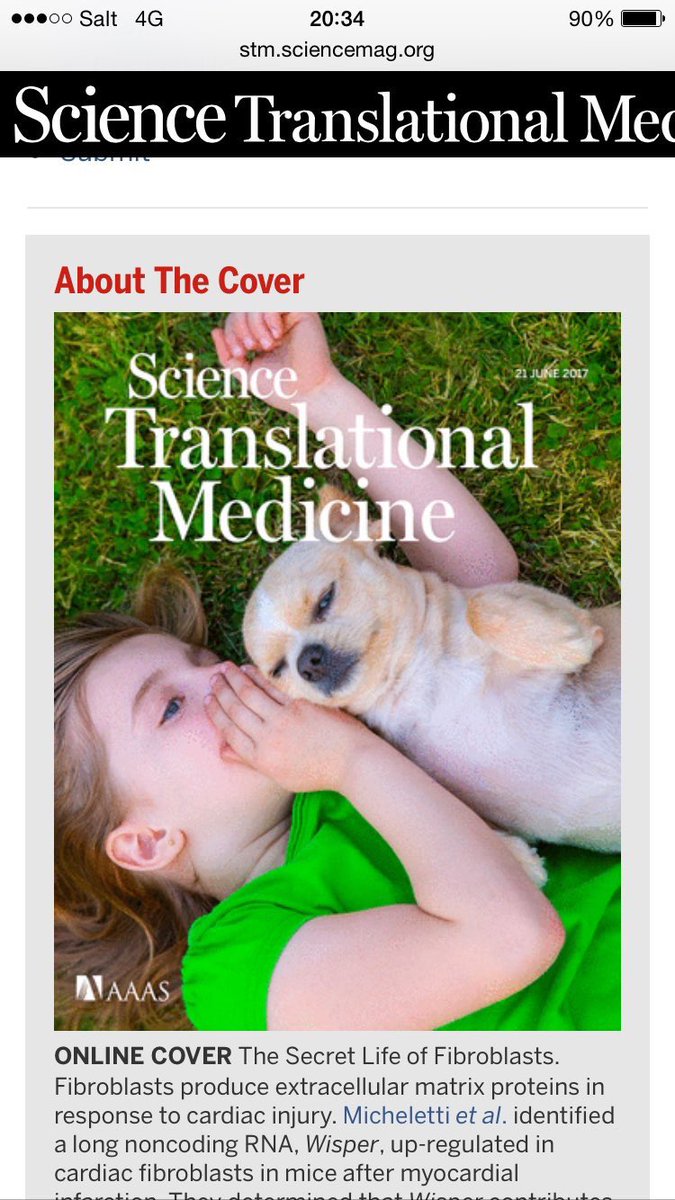 Daniel Maric (@Dan_Maric) | Twitter