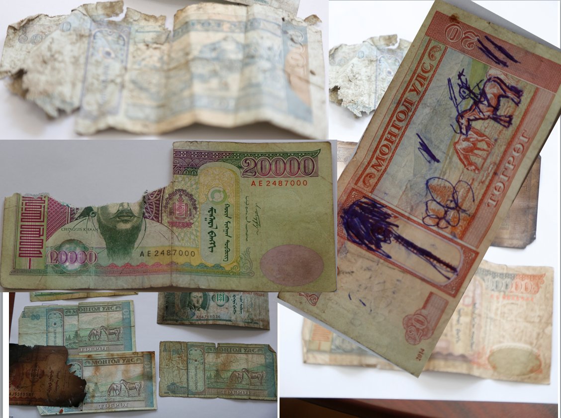 Enji Enkhjin (@EenjiEnkhjin) | Twitter