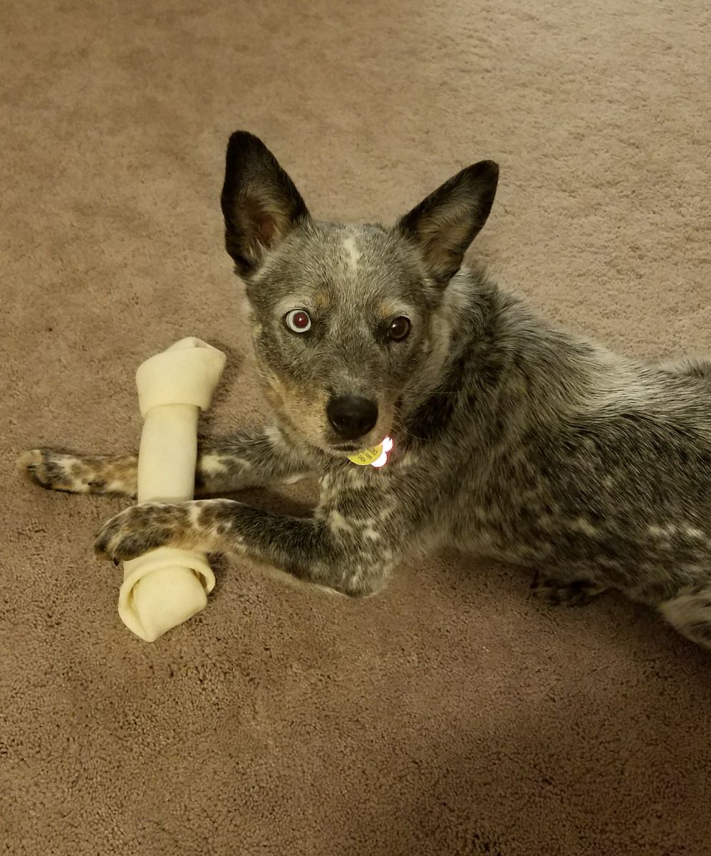 Mason Beck (@MasonBeck13) | Twitter