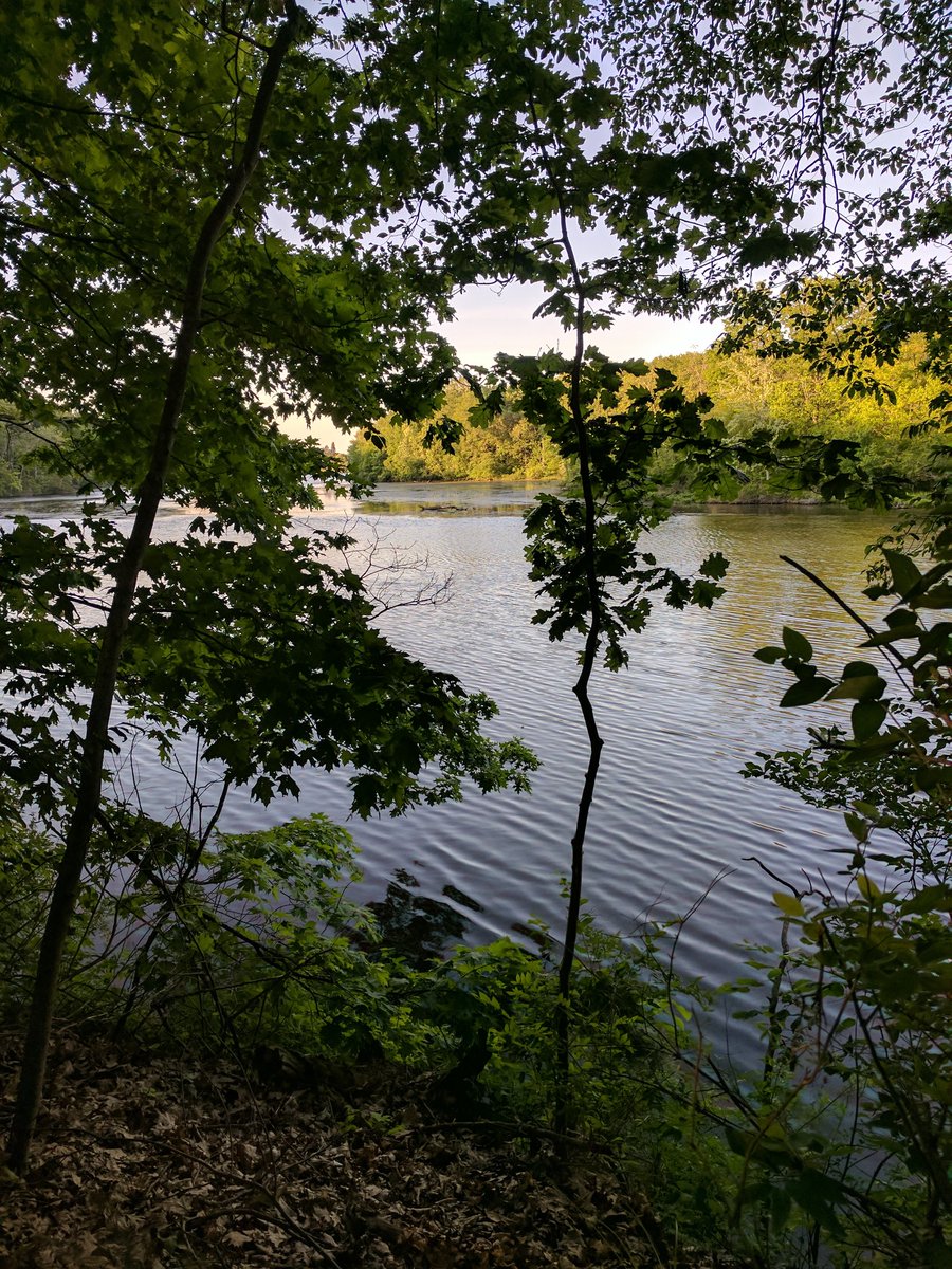 Nick Kwiatkowski (@quetwo) | Twitter