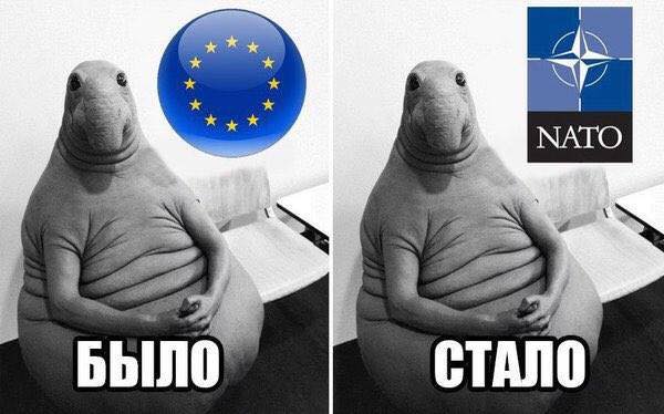 Ирина Байрак (@solnceva_star) | Twitter