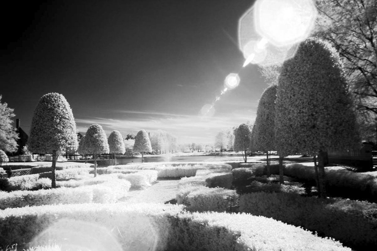 Black And White Infrared Film Photography