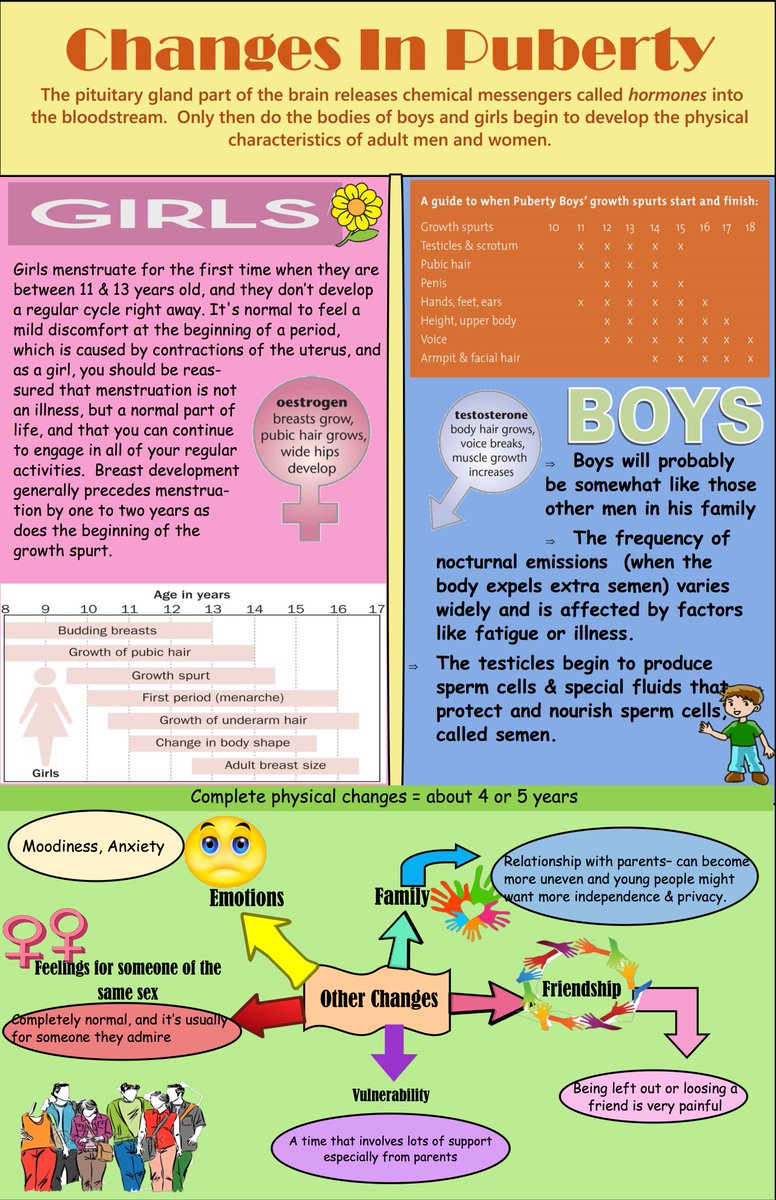Understanding Puberty Worksheet Puberty worksheet for Grade 5