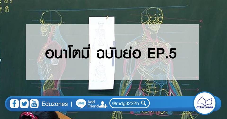 eduzones on Twitter: "อนาโตมี่ จำง่าย ฉบับย่อ EP.5 https://t.co/PvFKtF9ljM…