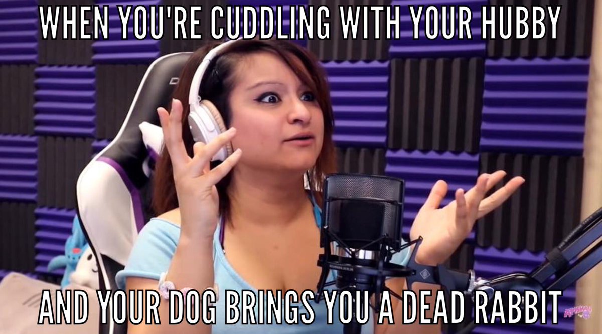 💧Puddlez💧 (@ThePegaLister) | Twitter