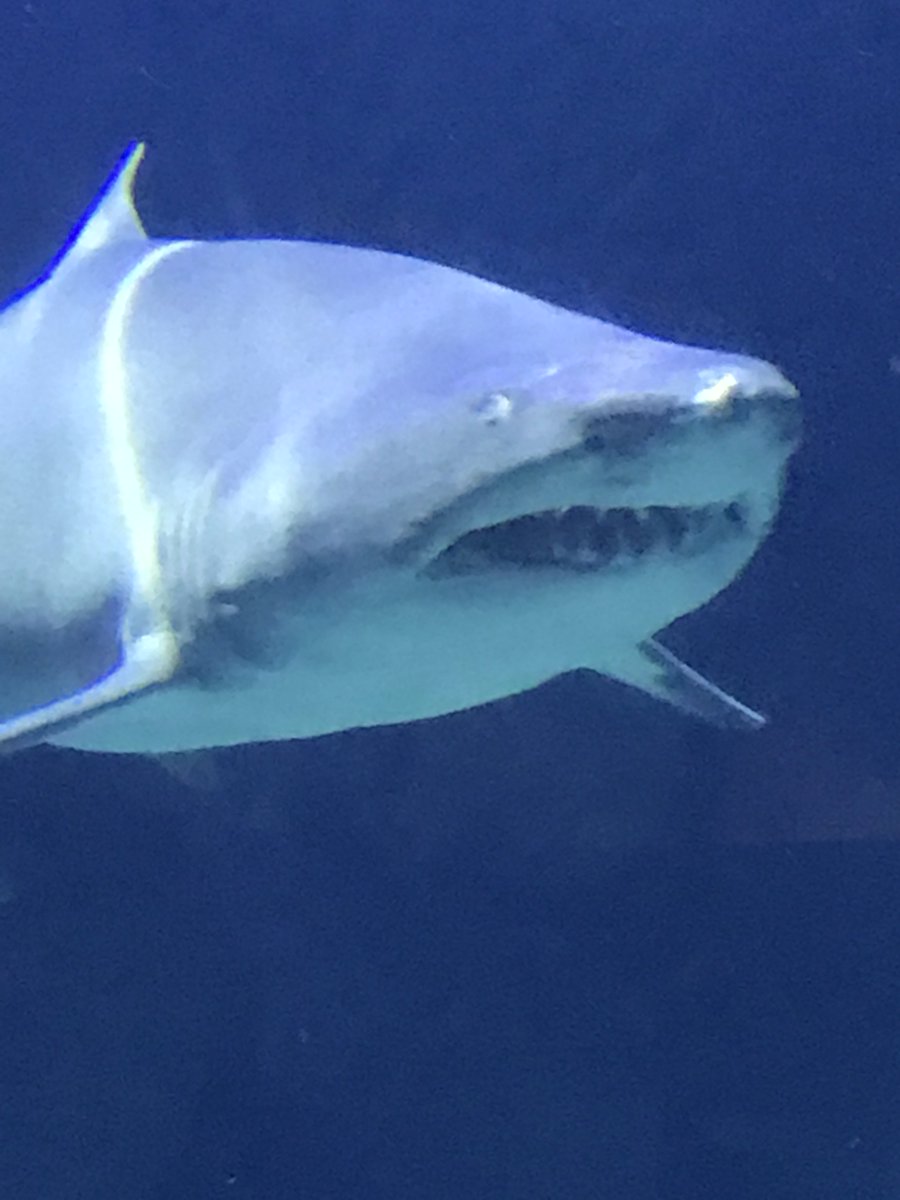 Flexpak (@FlexpakUtah) | Twitter