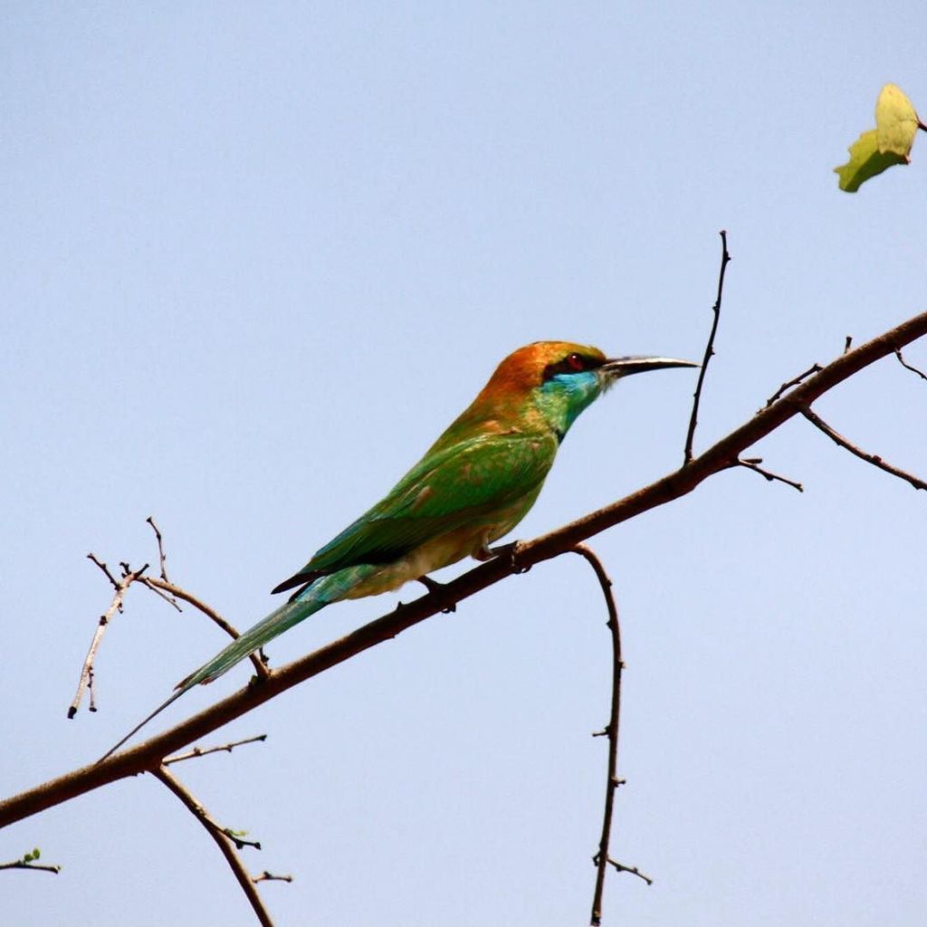 Luke Heron (@lukejd09) | Twitter