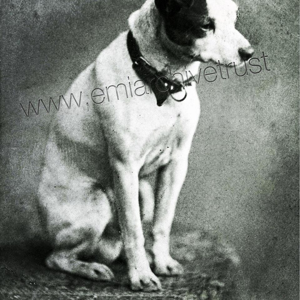 For the Nipper fans out there | Steve Hoffman Music Forums