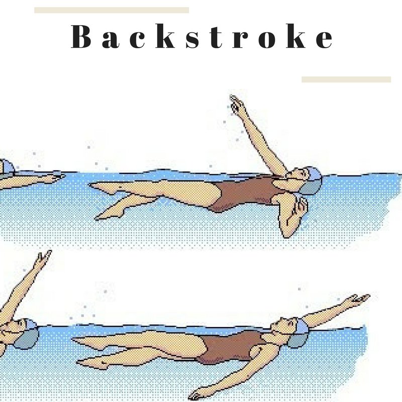 Animated Swim Strokes